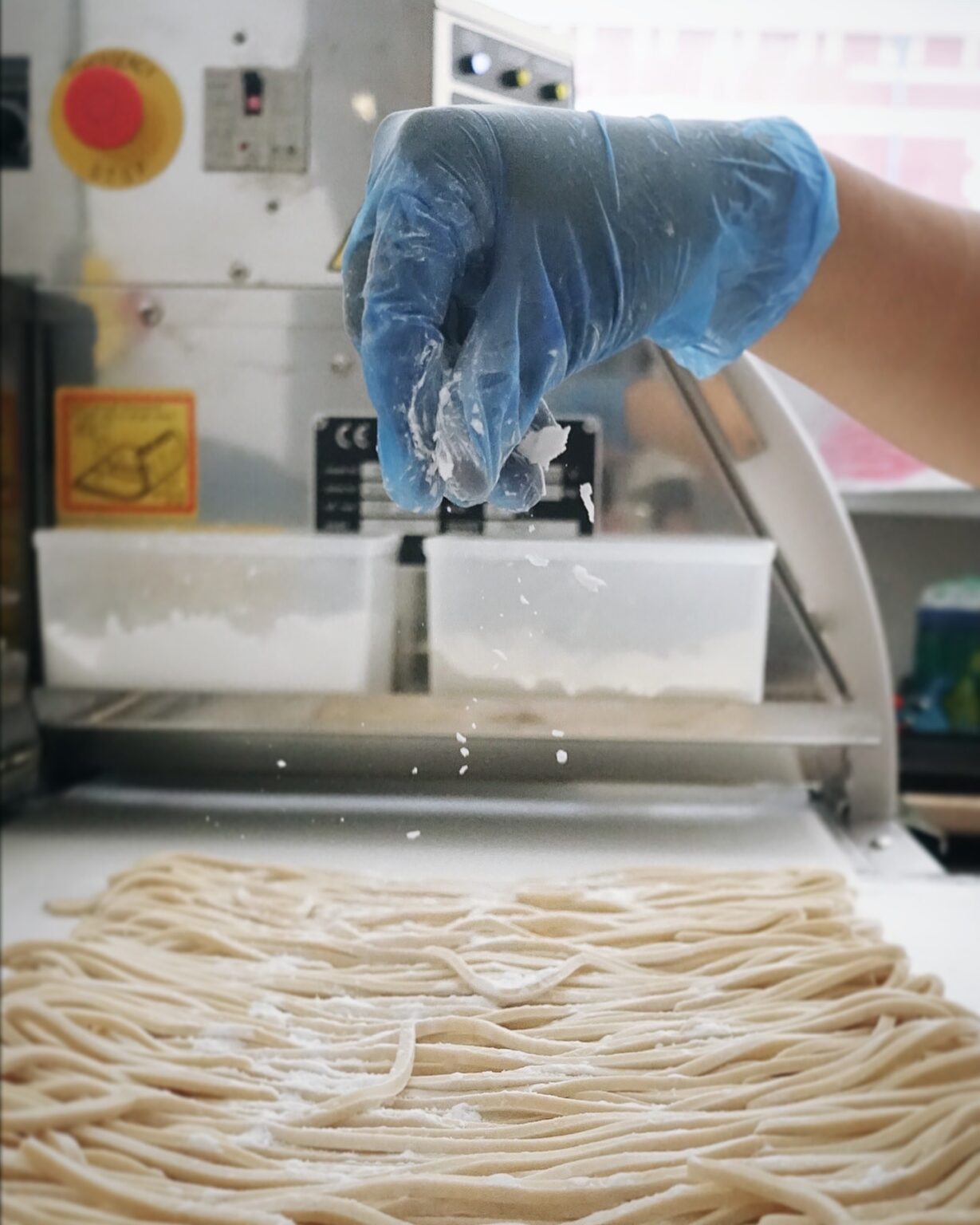 Get to Know Udon – The Noodle That Warms the Soul – HATSU UDON